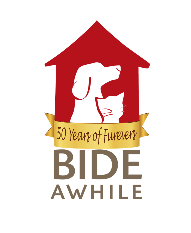 Bide Awhile Animal Shelter Society | Nonprofit Profile | Volunteer Halifax